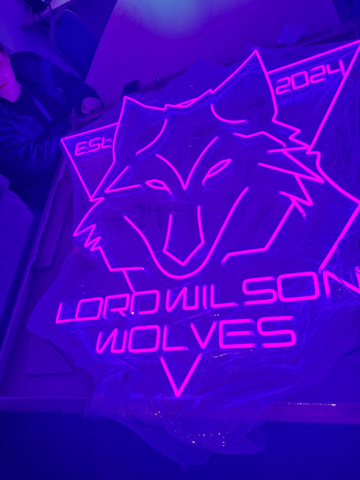 eSports Arena – King's Academy Lord Wilson