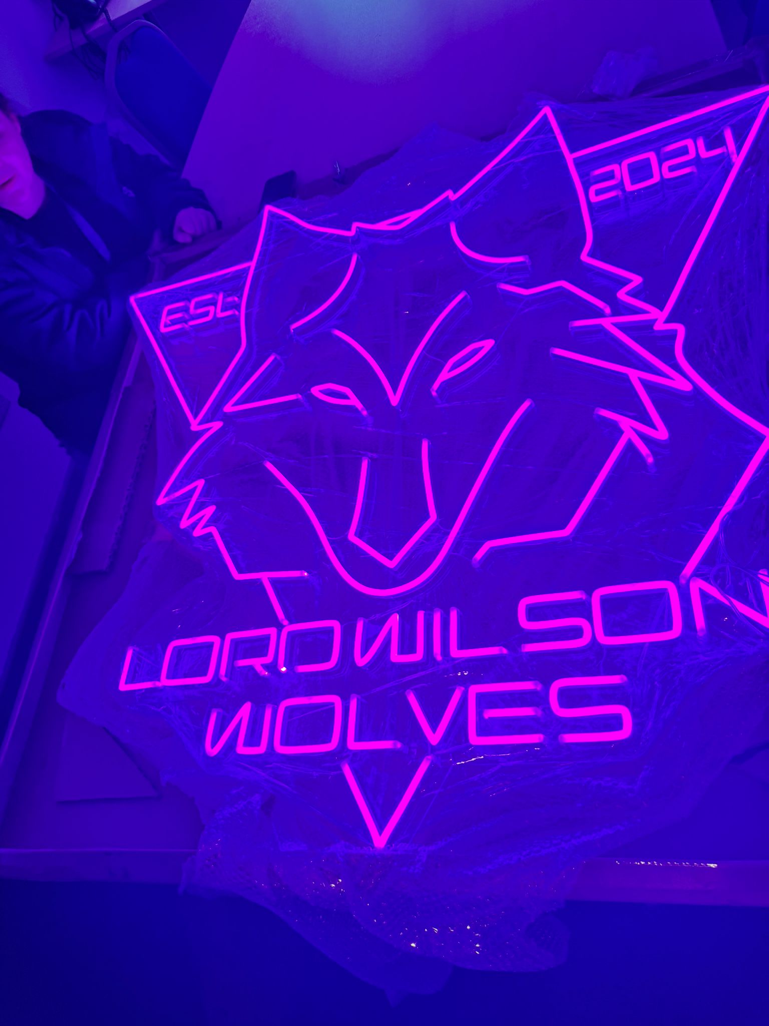 eSports Arena – King's Academy Lord Wilson